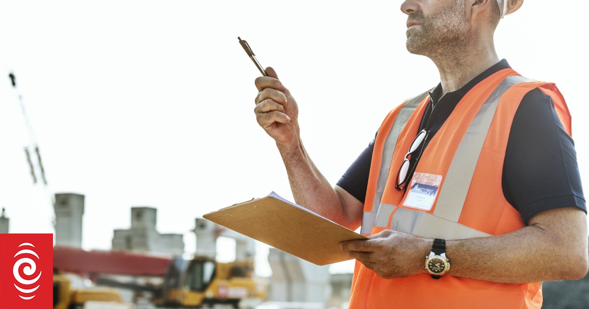 Inquiry finds structural engineer negligent but not incompetent | RNZ News