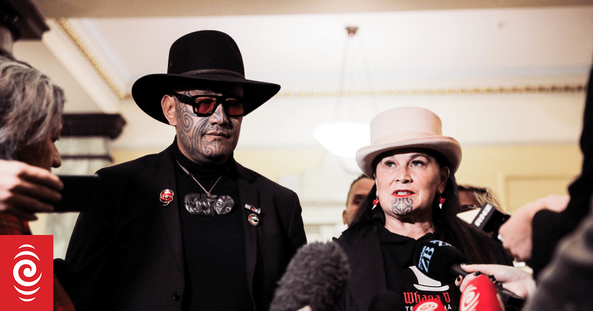 One of two Te Pāti Māori factions willing to meet - iwi leaders | RNZ News