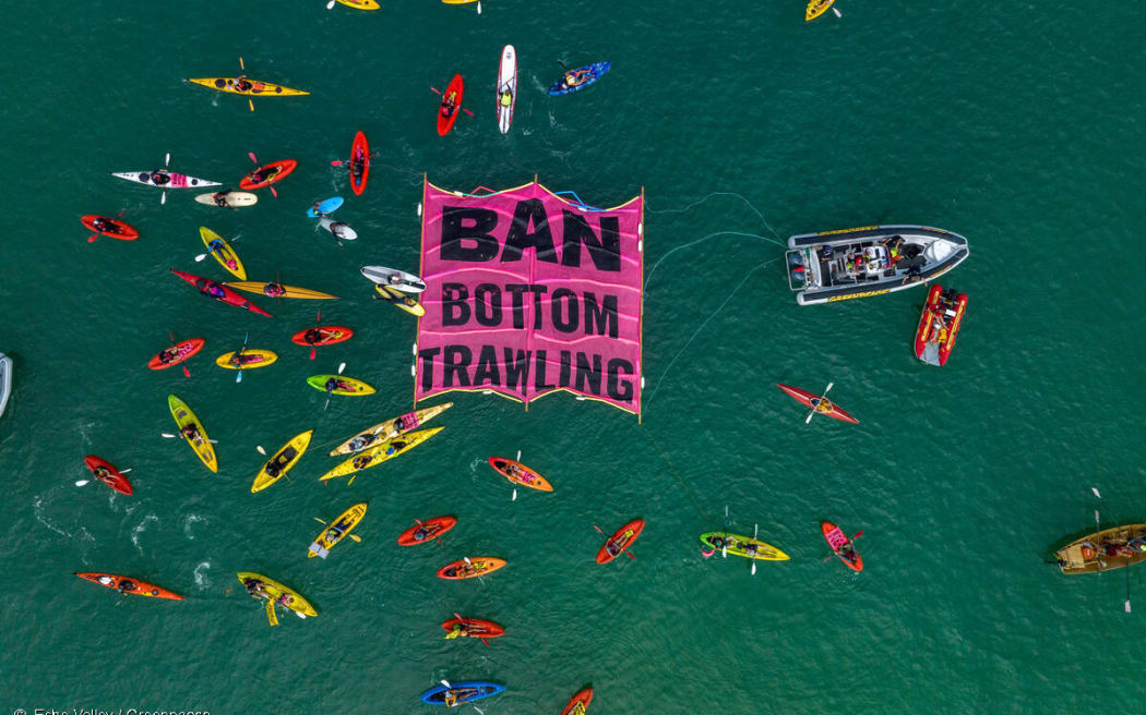 Olympian Blair Tuke calls on government to scrap Fisheries legislation ...