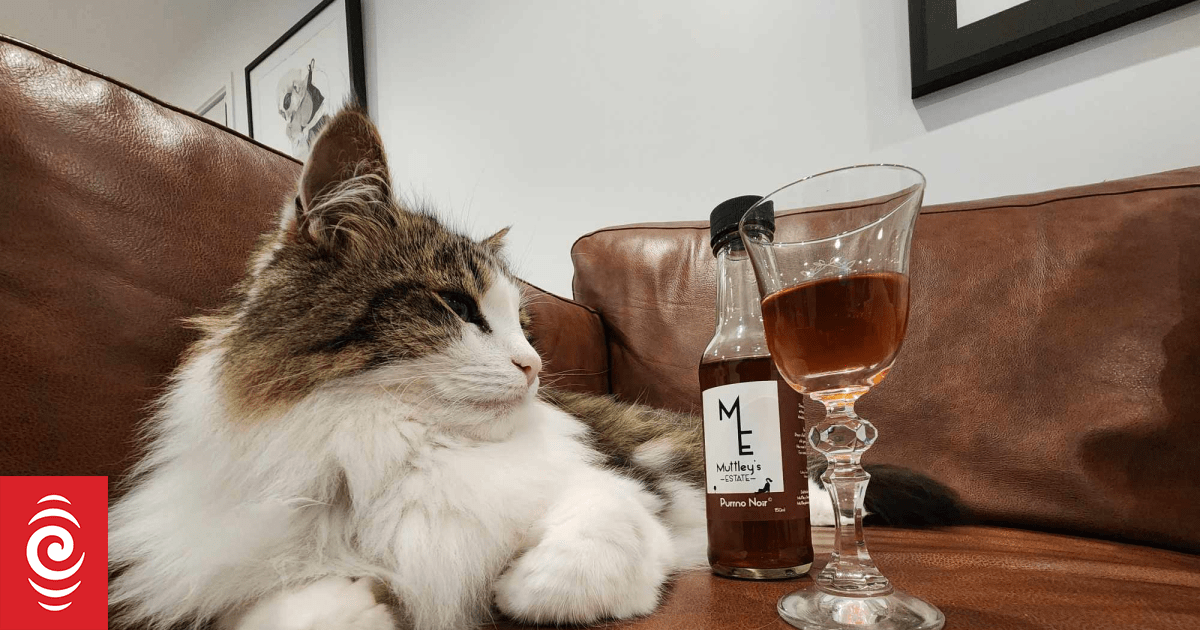 'Premium beverages' for pets made from catnip | RNZ News