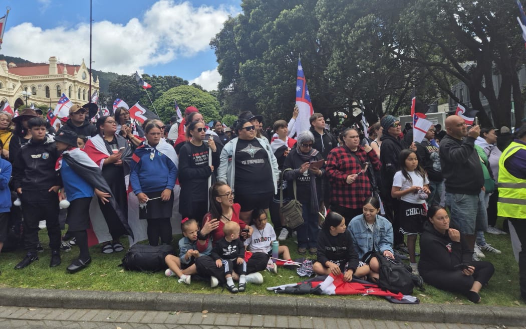 Hīkoi mō Te Tiriti: The final day march to Parliament in photos | RNZ News