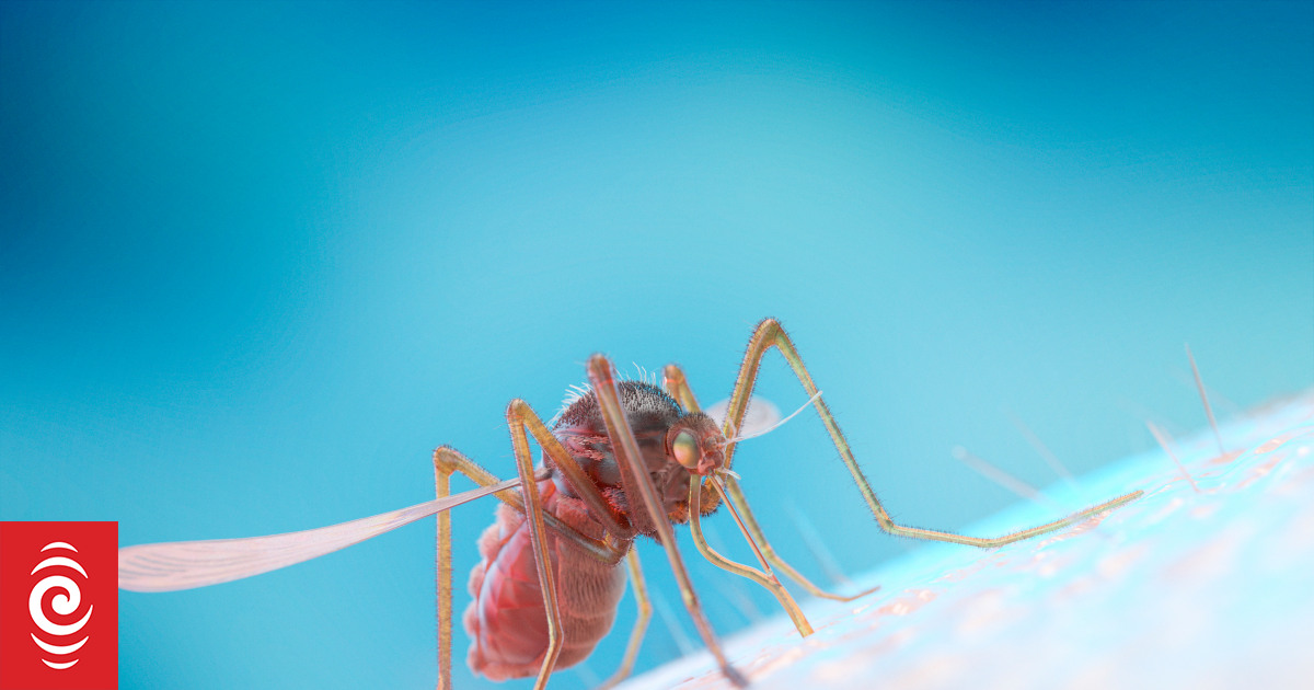 Scientists sound alarm over increase in drug-resistant malaria ...