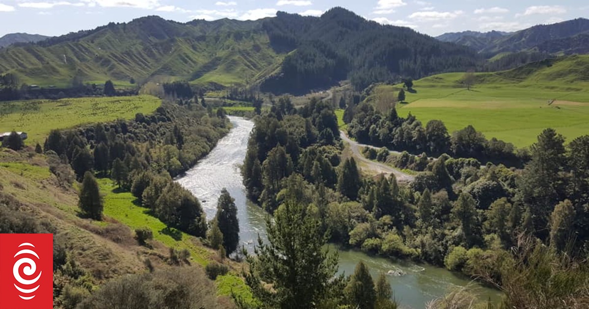 Body found in Whanganui River identified as missing Taumarunui woman | RNZ News
