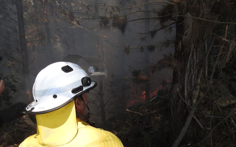 Fire and Emergency's preparations for climate change and increasing ...
