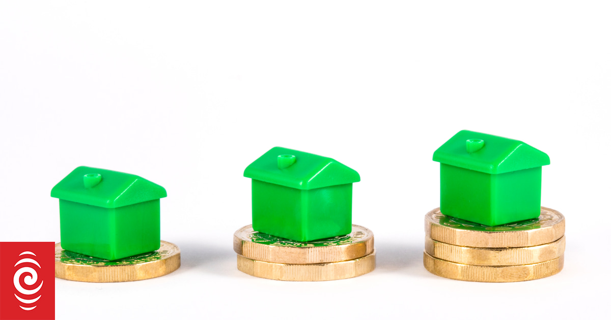 The Panel with Ruth Money and Peter Field (Part 1) | RNZ