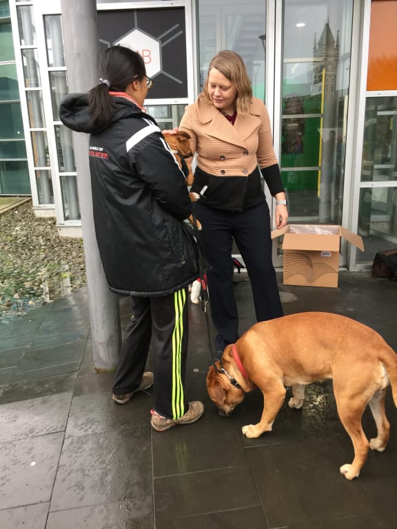 Darwin Dogs | A Gallery from Afternoons | RNZ National