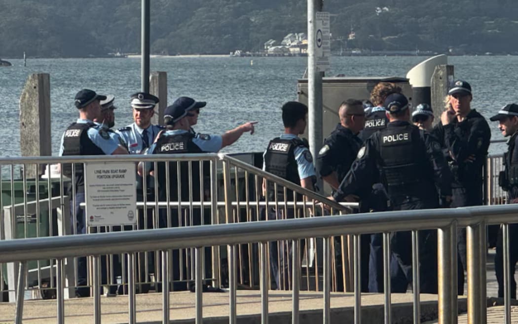 Shark attack at Sydney Harbour beach leaves boy in intensive care with ...