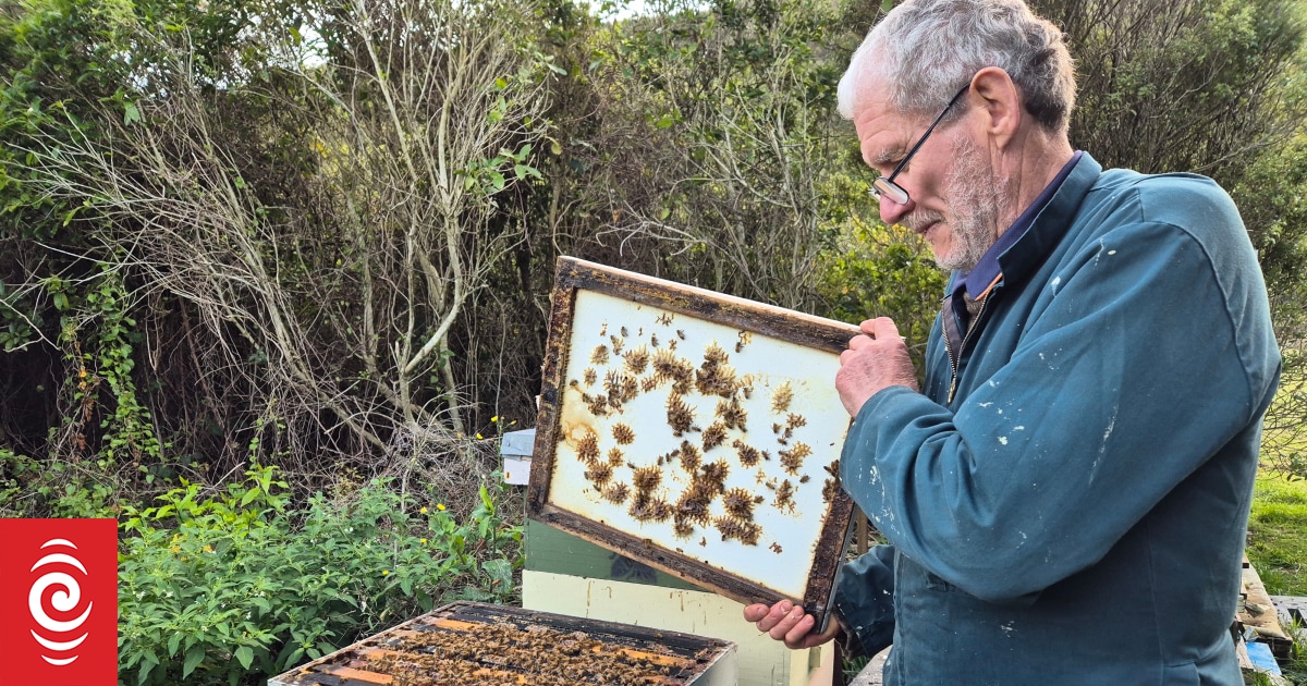 The secret life of bees | RNZ