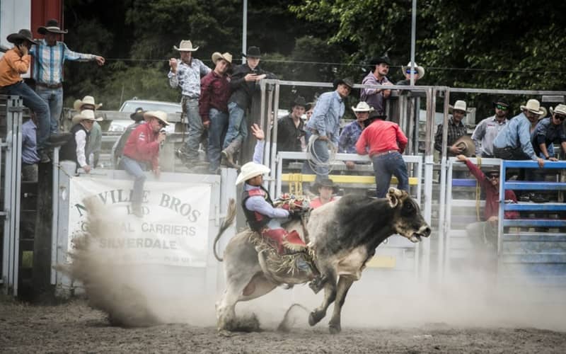 Rodeo event heading back to Hawke's Bay after 16 years | RNZ