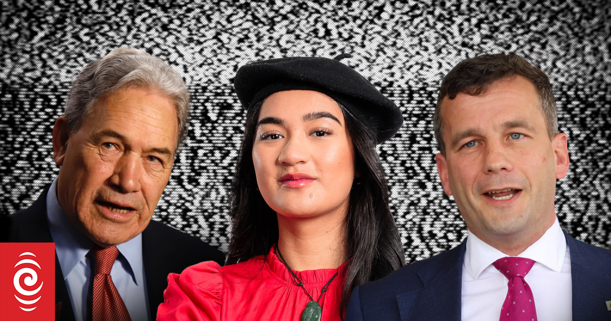 What is 'race-baiting' and who decides? | RNZ News