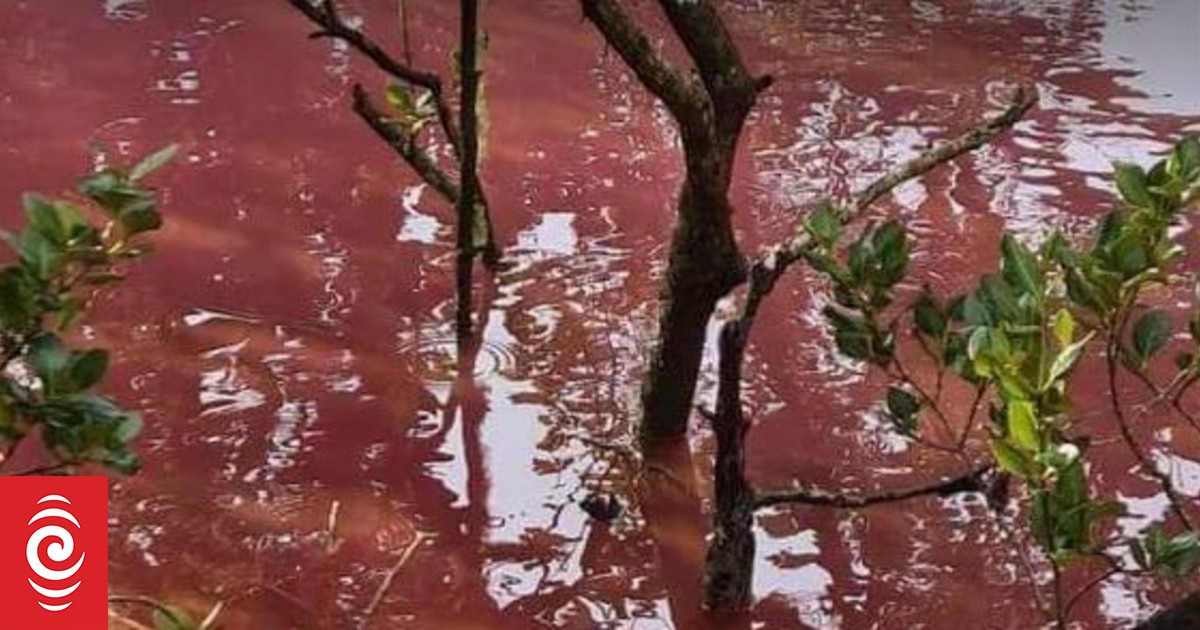 Estuary pollution in Bay of Islands caused by dumped red paint | RNZ News