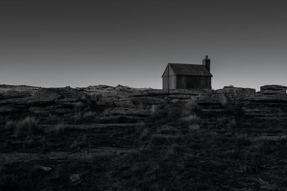 Bruce Hunt captures Aotearoa's timeless tussock grasslands | RNZ