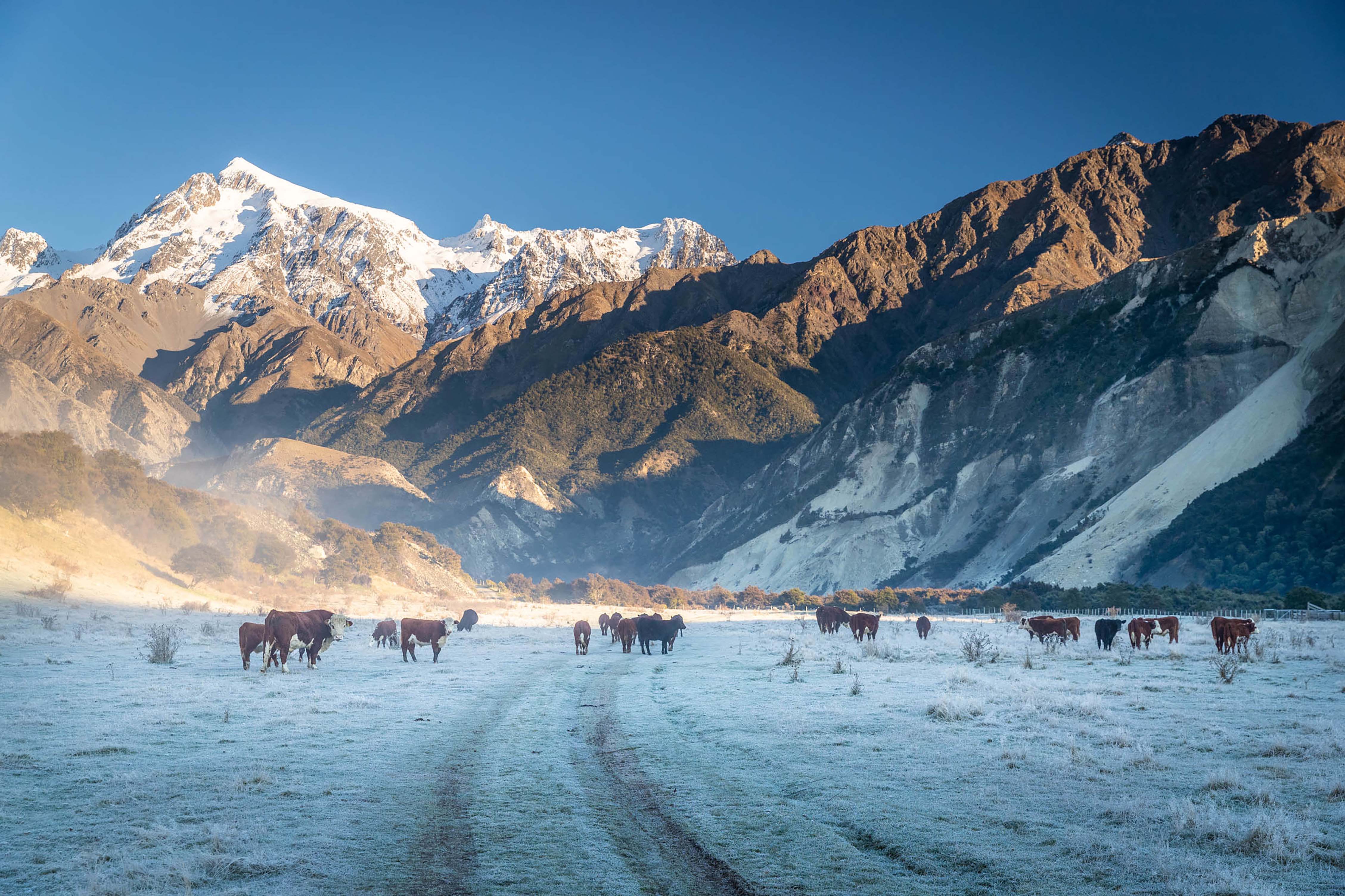 The mighty Waiau Toa, the Clarence River | A Gallery from Nine To Noon ...