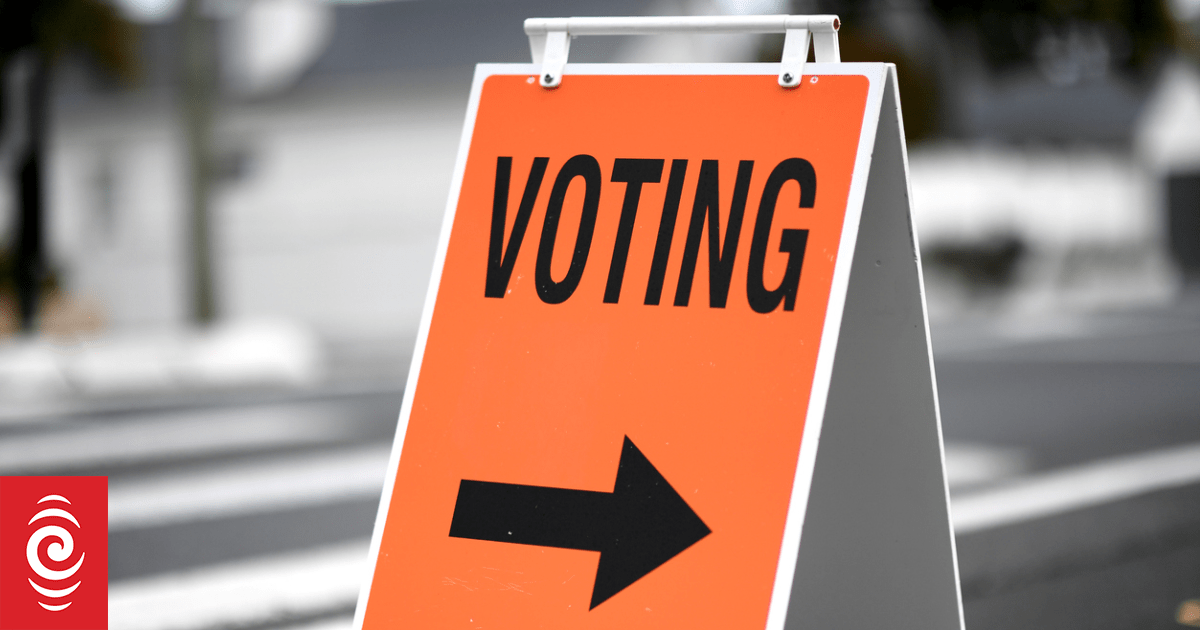 Explainer: Local elections - what they are, when they are and how they ...