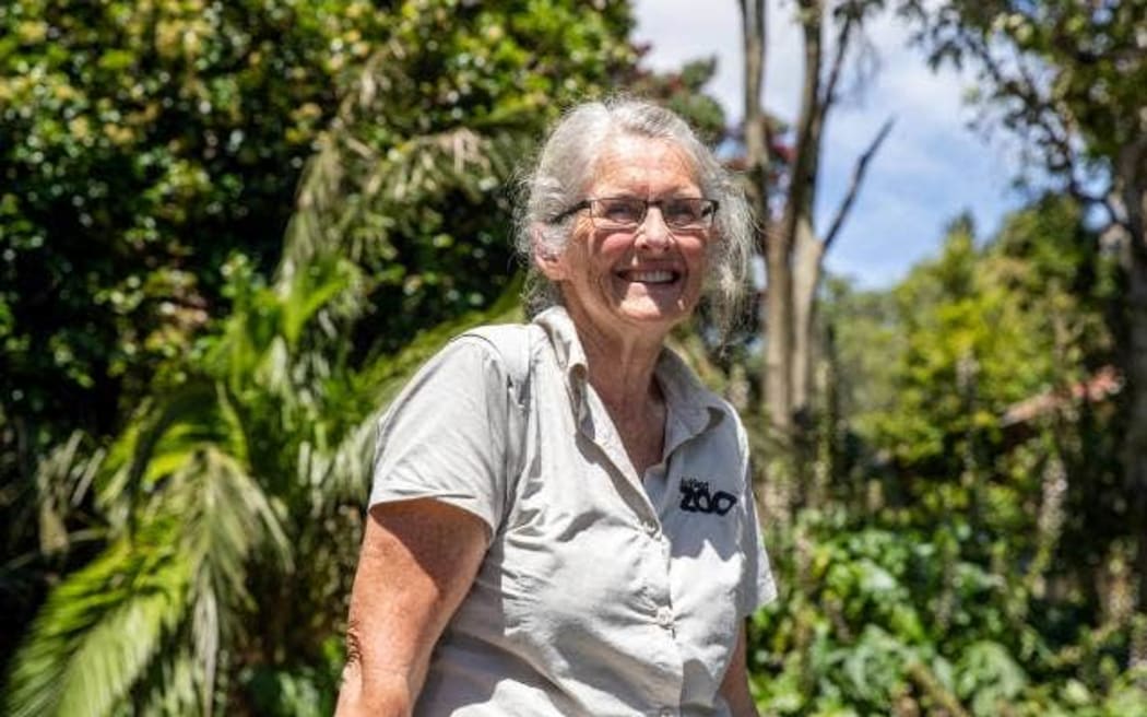 Auckland Zoo's century filled with odd tales, exotic animals and ...