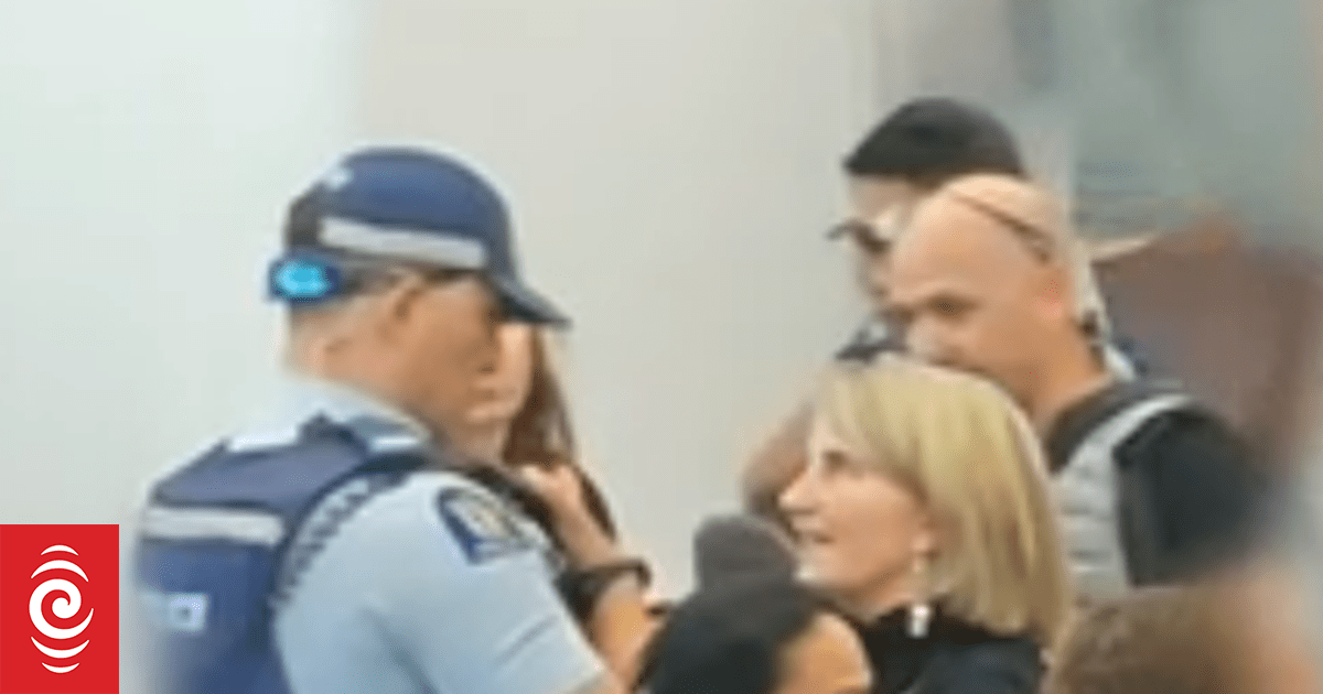 Footage captures moment Liz Gunn and cameraman arrested at Auckland ...