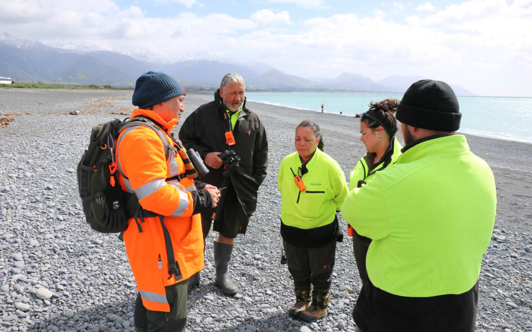 Restoring the balance of nature along the Kaikōura coastline | RNZ