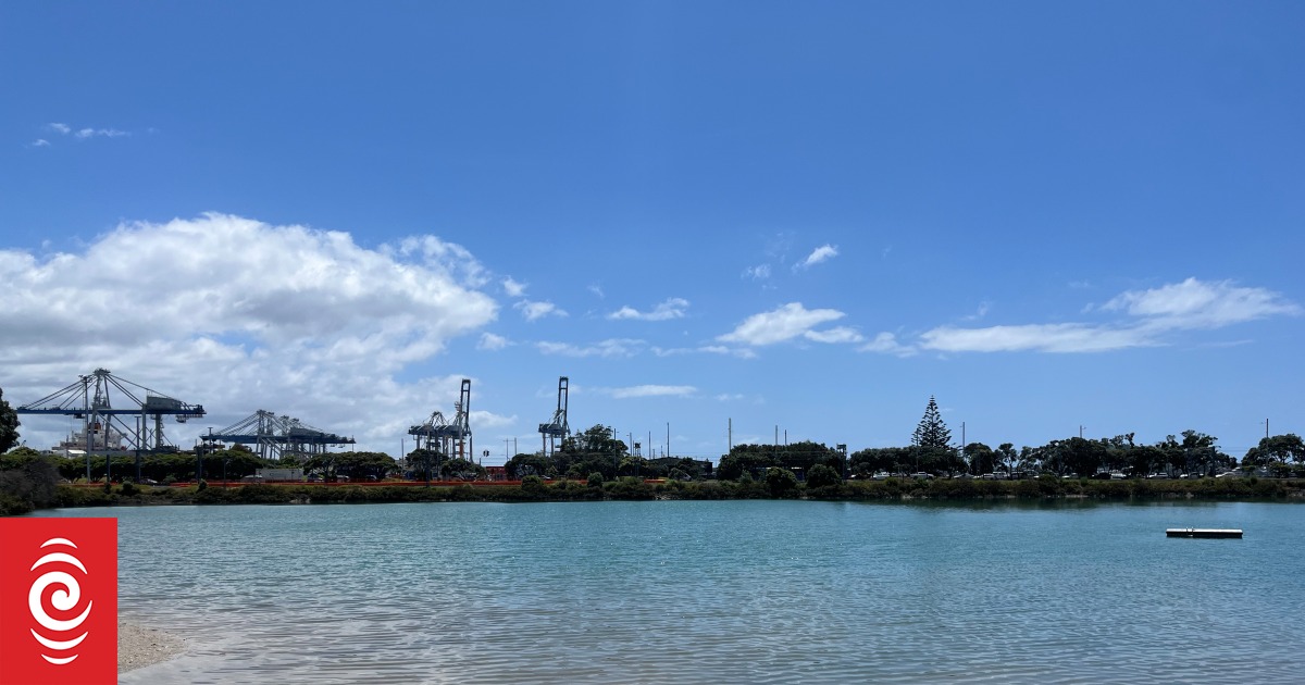 Waitematā Harbour rahui lifted, seven weeks after sewage spill | RNZ News