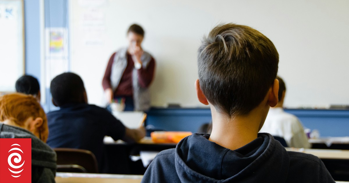 Dire need for AI support in primary, intermediate schools survey shows ...