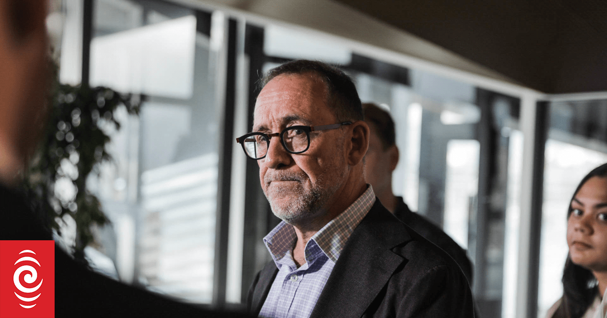 Andrew Little wins mayoralty bid in Wellington, Tory Whanau misses out ...