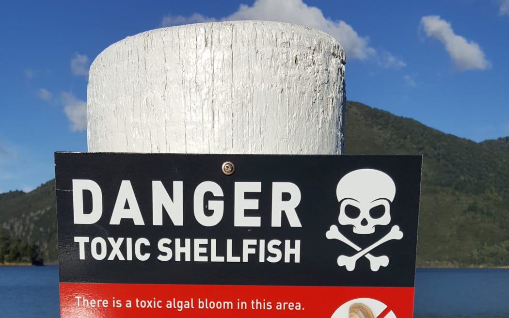 Toxic shellfish warning for Hawke's Bay | RNZ News