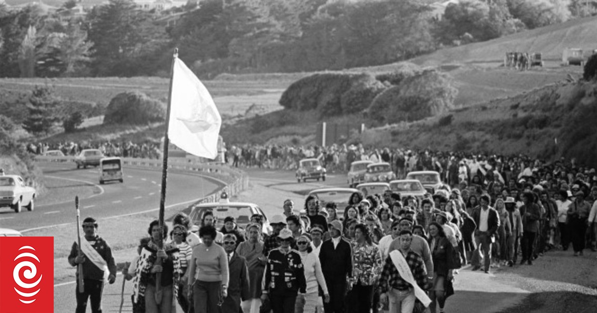 Original Ngā Tamatoa members to reunite 50 years after movement's ...