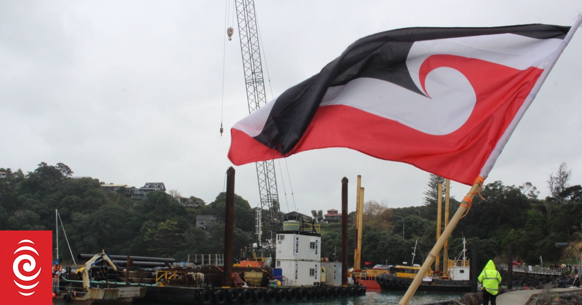 Putiki Protesters arrive in Auckland central | RNZ