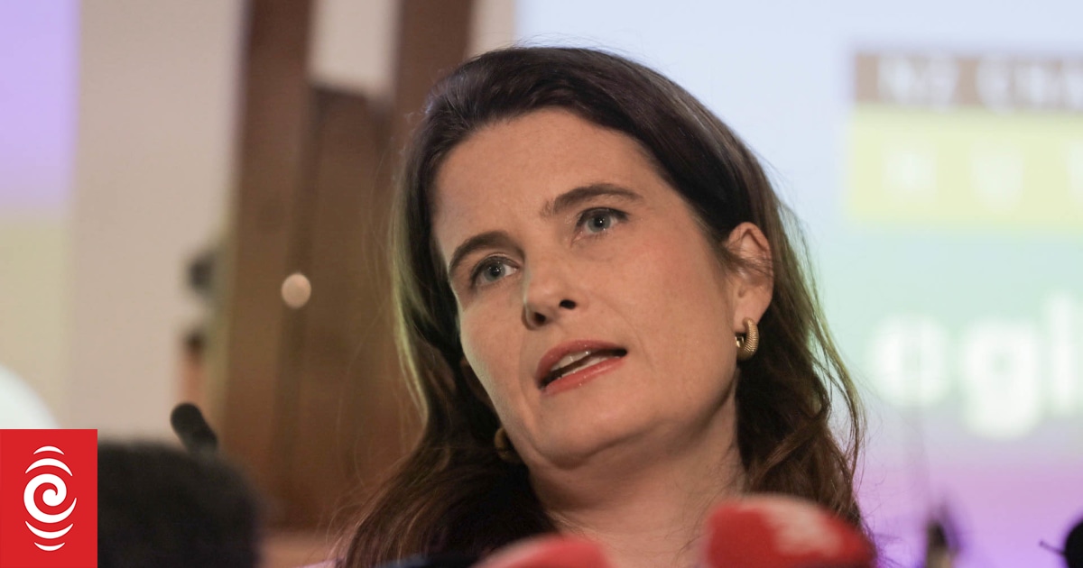 Political commentators Neale Jones and Tim Hurdle | RNZ