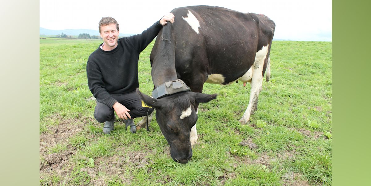 Country Life for Friday 16 October 2020 Country Life | RNZ