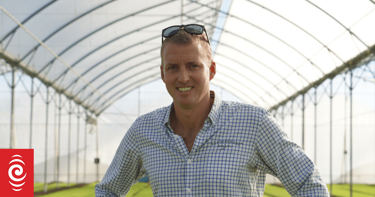 Stories from around New Zealand and the World | RNZ