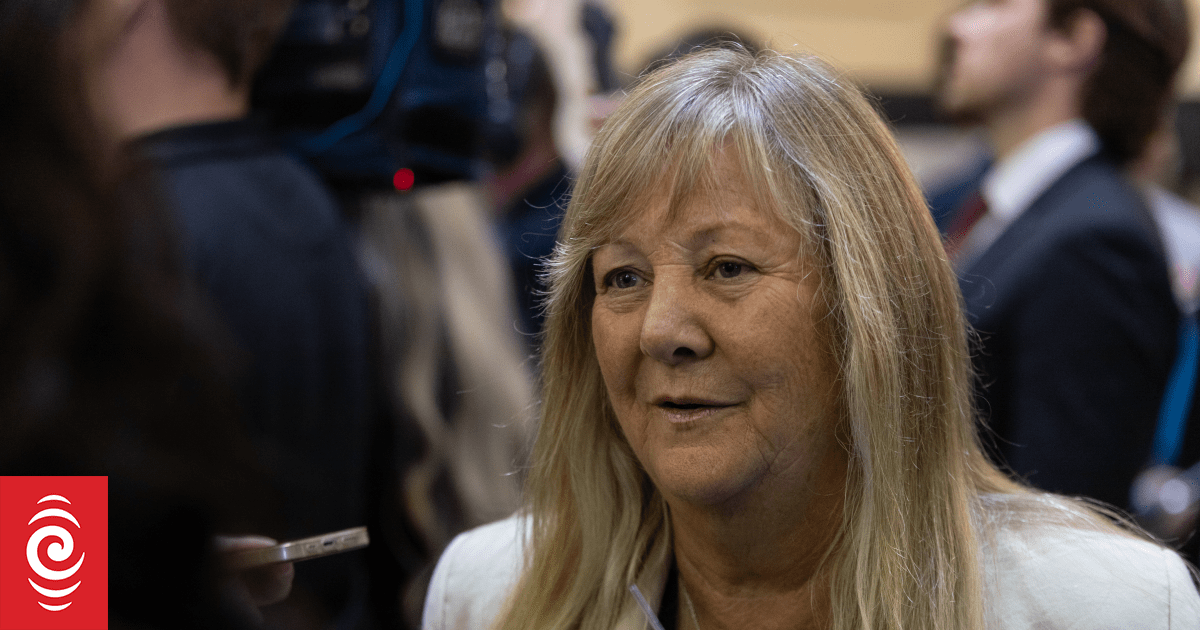 Environment minister accused of using position to influence council's ...