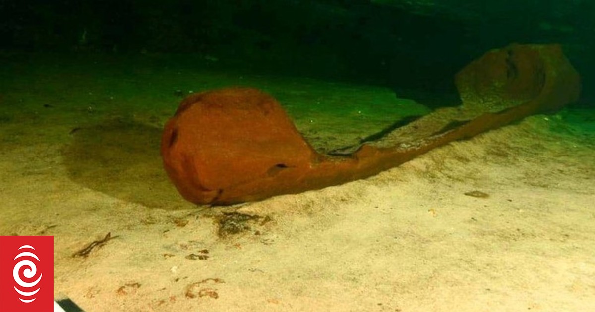Ancient wooden Mayan canoe unearthed almost intact in Mexico | RNZ News