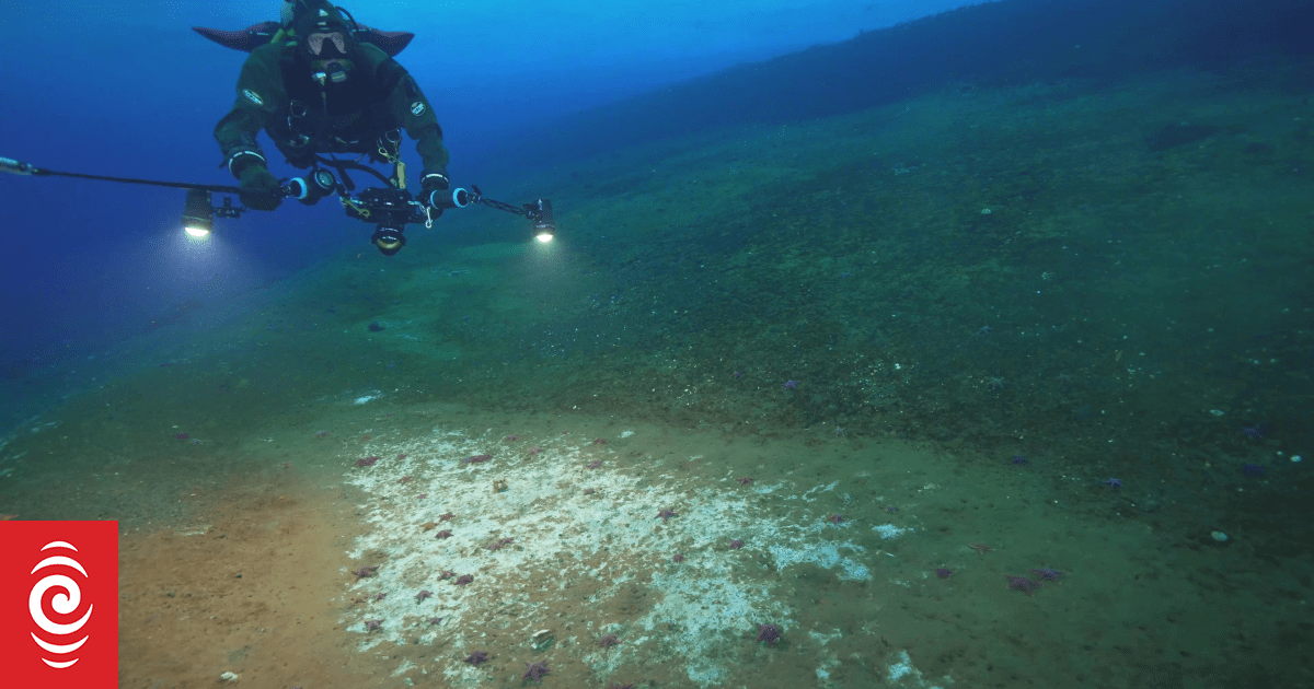 Our Changing World: New Antarctic methane seeps | RNZ News