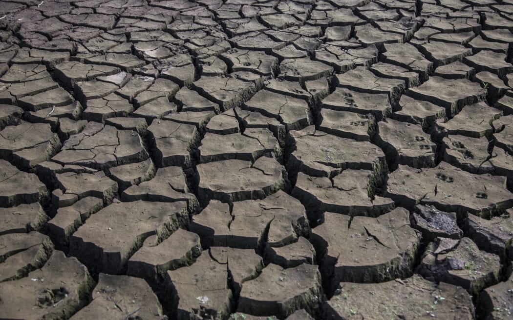 Up to 40% of land degraded, UN report says | RNZ News
