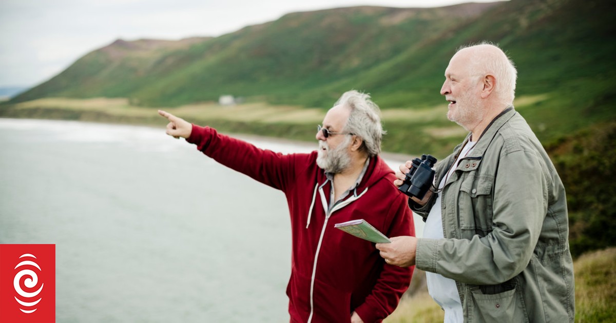 Expert feature: bird watching | RNZ