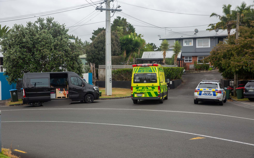 Death on road in Auckland's Mt Albert not suspicious, police say | RNZ News