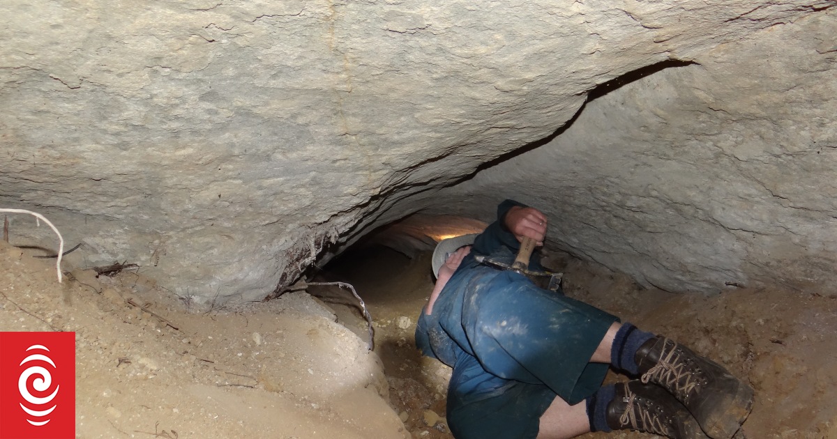 Concerns over secret search for giants' bones near Huntly | RNZ News