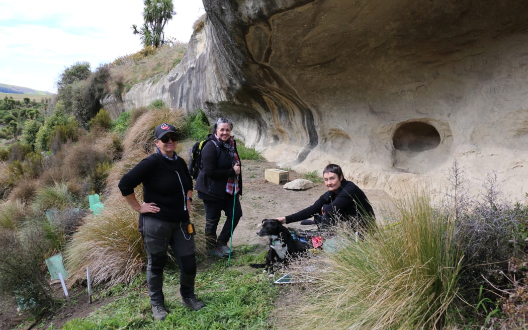 Raising rock art awareness for future kaitiaki | RNZ