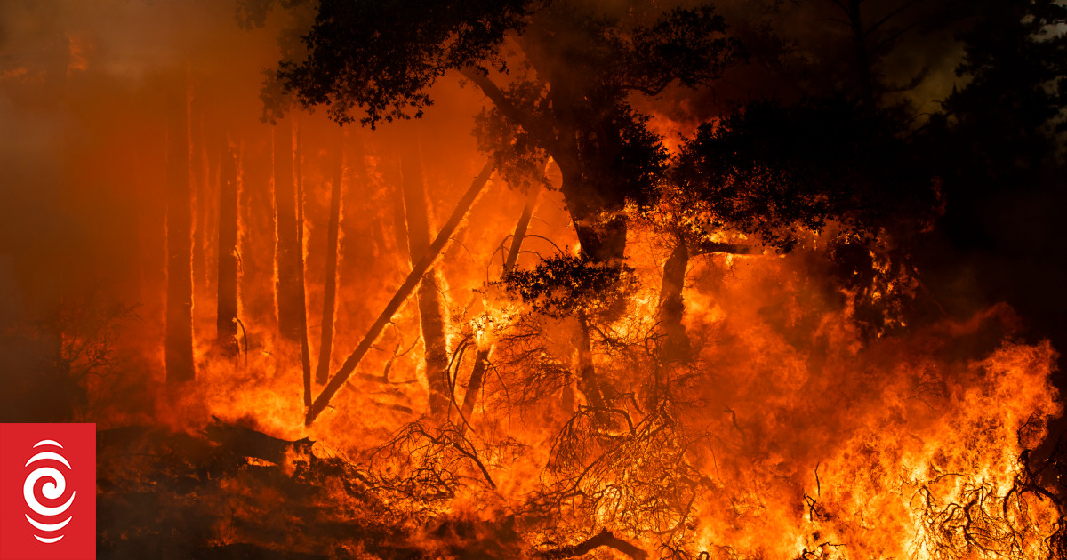 Kincade fire: Emergency declared across California as fires rage | RNZ News