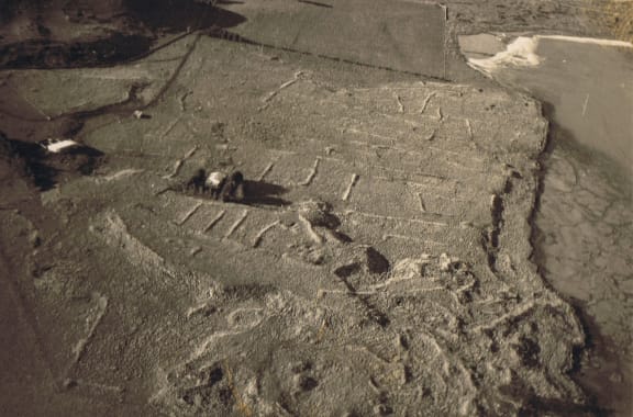 Dave Veart on Ihumātao: 'the legislation is failing us' | RNZ