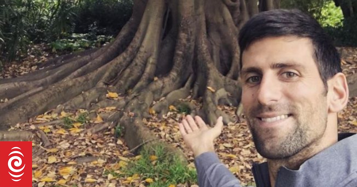 The 'old friend' Novak Djokovic visits each Australian Open in ...