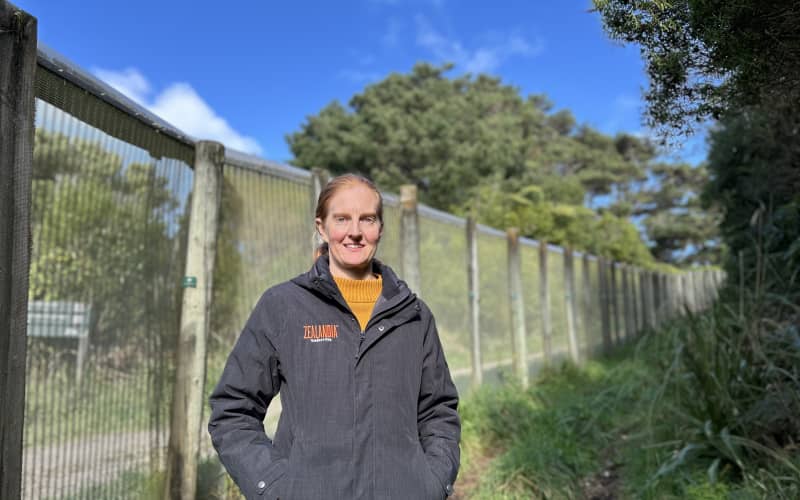 World-renowned Zealandia fence to be replaced 25 years after being ...