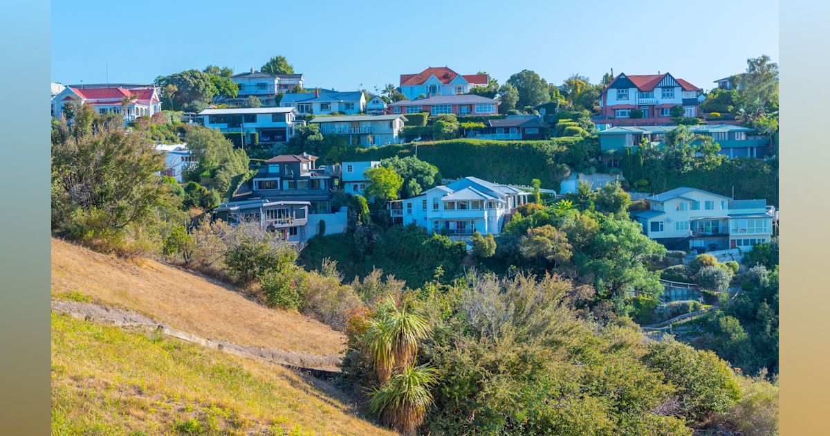 Afternoons for Thursday 23 May 2024 Afternoons | RNZ