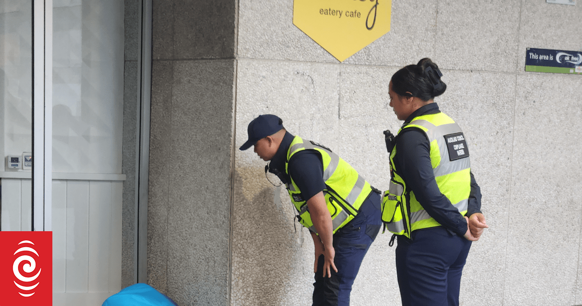 Homelessness in Auckland more than doubles to 940 people in year to ...