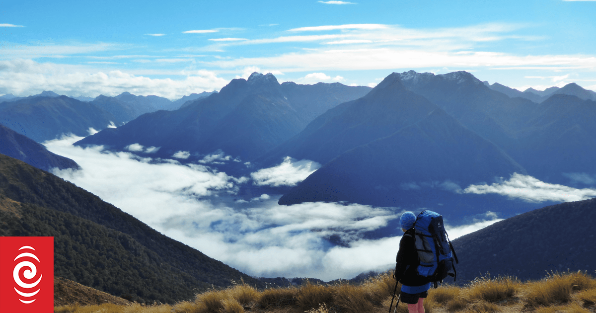 Summer jobs: What is it like to work at a DOC hut? | RNZ News