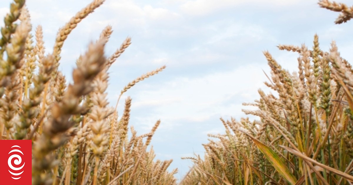 The Panel with Pattrick Smellie and Ruwani Perera (Part Two) | RNZ