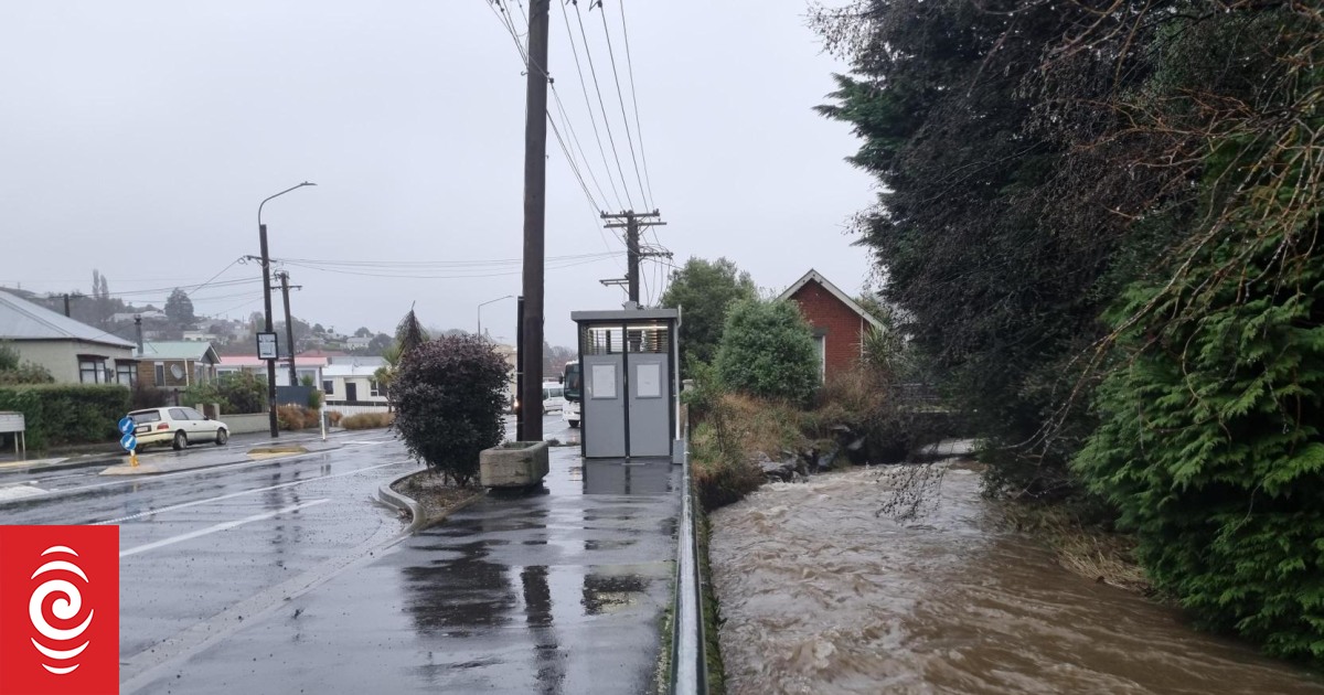 Dunedin suburb's flood risk analysed | RNZ News
