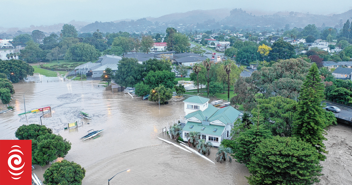Experts call for review of impacts of Cyclone Gabrielle | RNZ