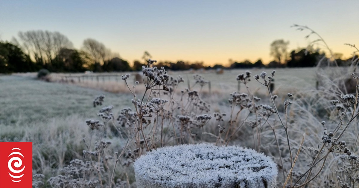 Mount Cook Airport records its coldest temperature of 2024 | RNZ News