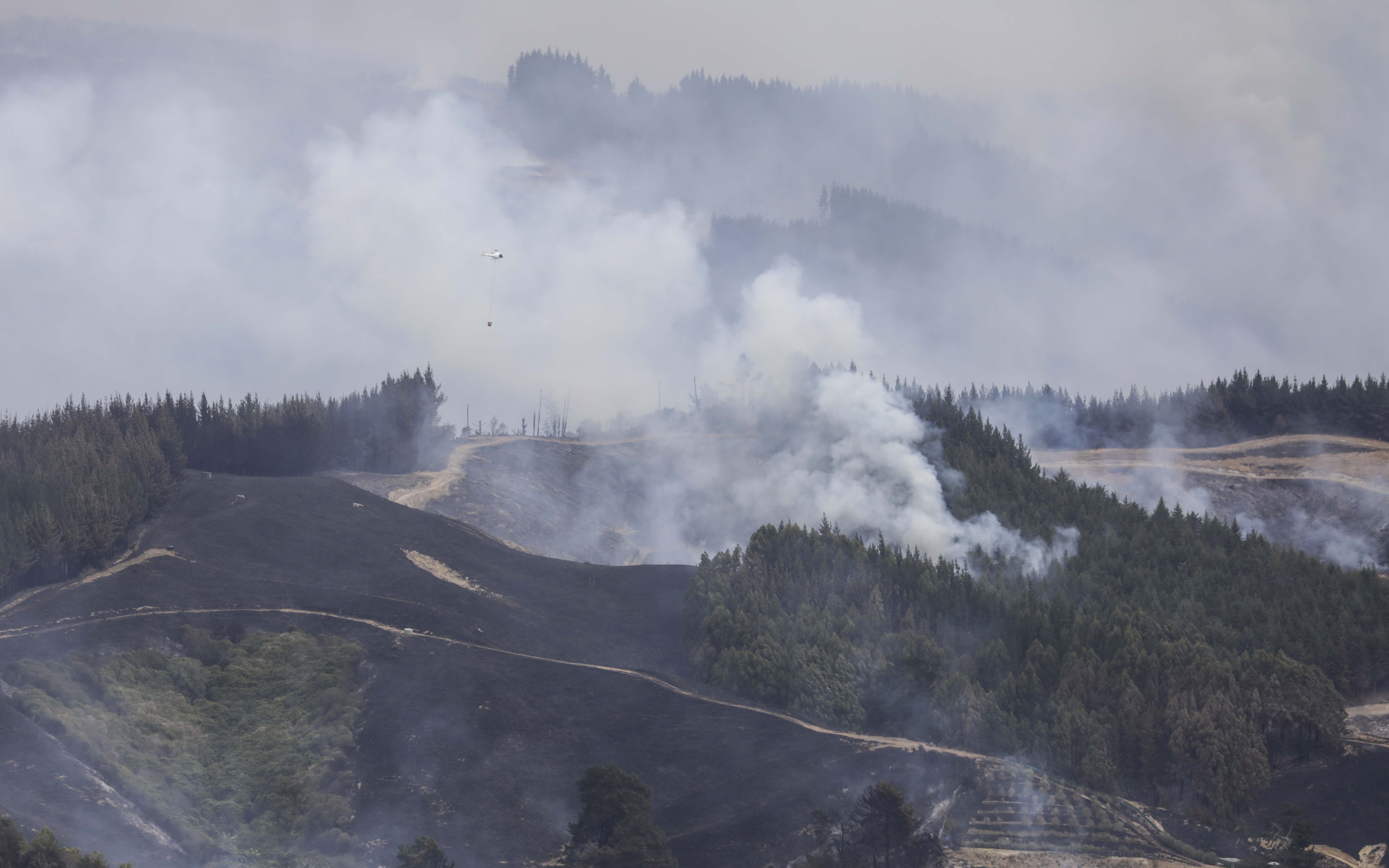 Photo gallery: Nelson fire | A Gallery from News | RNZ